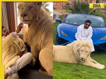 Meet man who lives with lions, owns supercars, richer than CarryMinati ...