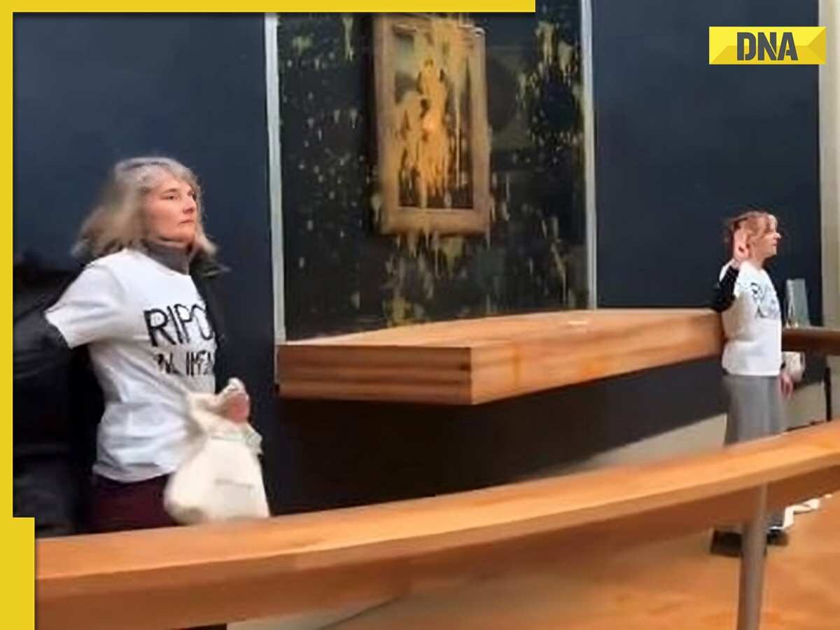 DNA Explainer: How soup attack on Mona Lisa painting linked to farmers ...