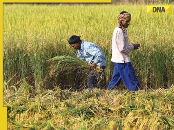 DNA Explainer: What is Swaminathan's C2+50% formula on MSP?