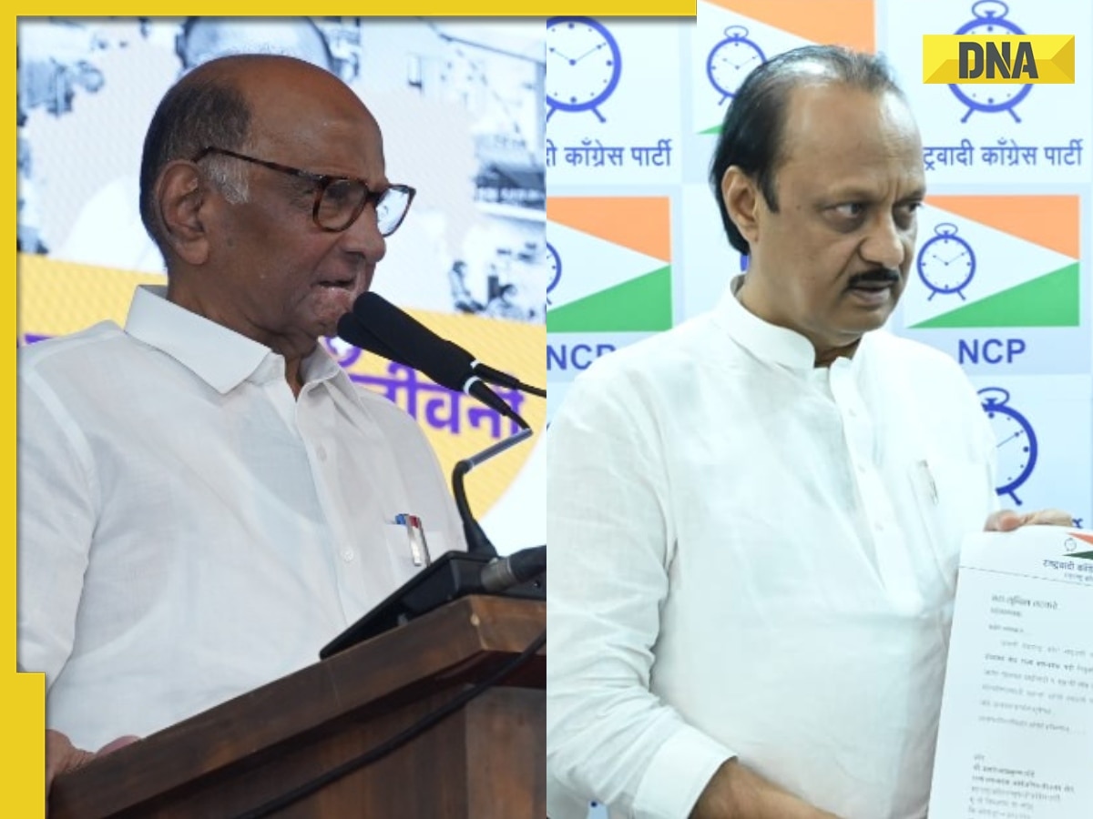 Maharashtra Speaker holds Ajit Pawar group as real NCP, says...