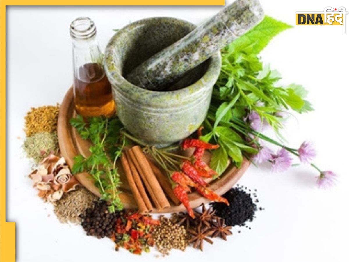 Stone Removal Remedy: किडनी की पथरी को दवा-सर्जरी के बिना ही चूरा बना ...