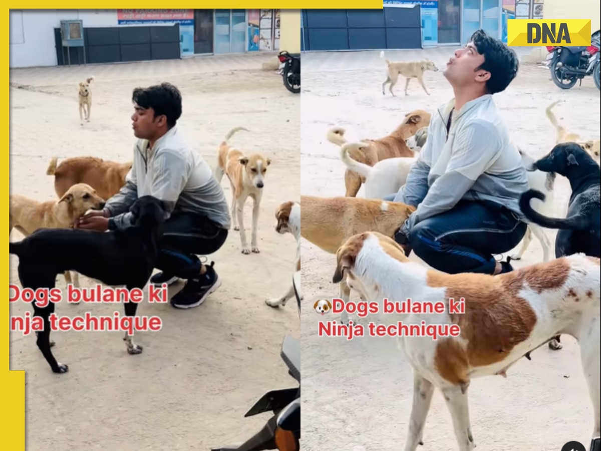 Man calls dogs by imitating their sound in viral video, internet is ...