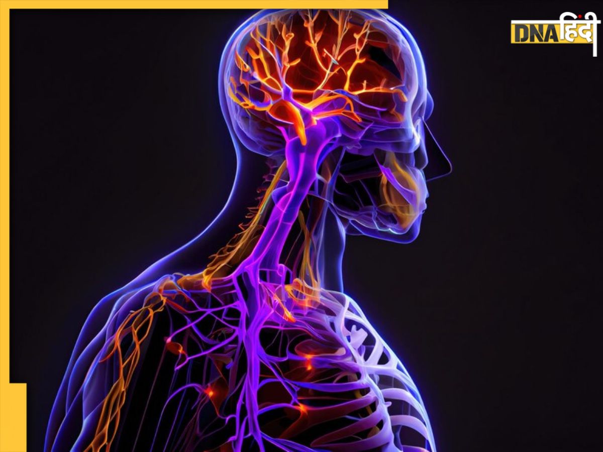 शरीर में इन Vitamin की कमी से नसें हो जाती हैं कमजोर, बढ़ता है इन ...