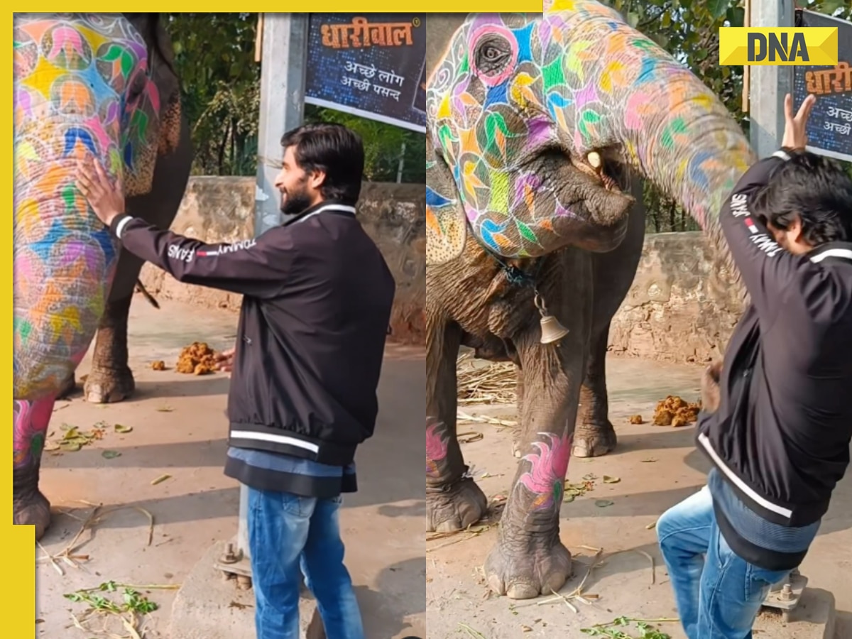 Viral video: Elephant sends man flying after he gets too close to it, watch