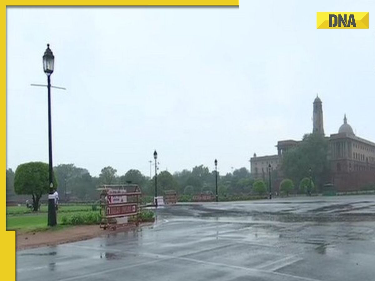 Weather update: Delhi NCR witnesses rainfall amid scorching heatwave, check IMD prediction