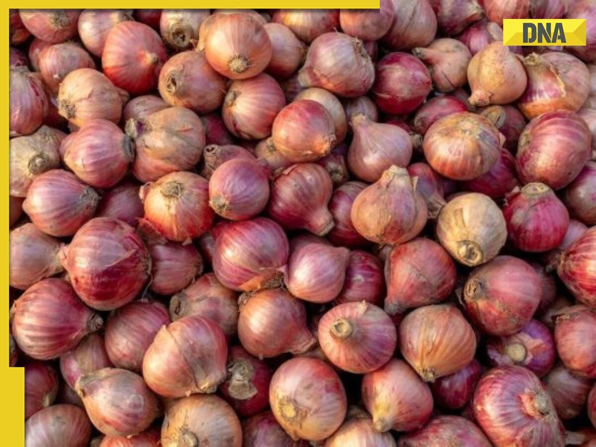 Centre imposes 40% export duty on onion effective from today
