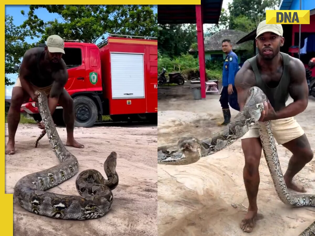 Man grabs snake mid-lunge before it strikes his face, terrifying video ...