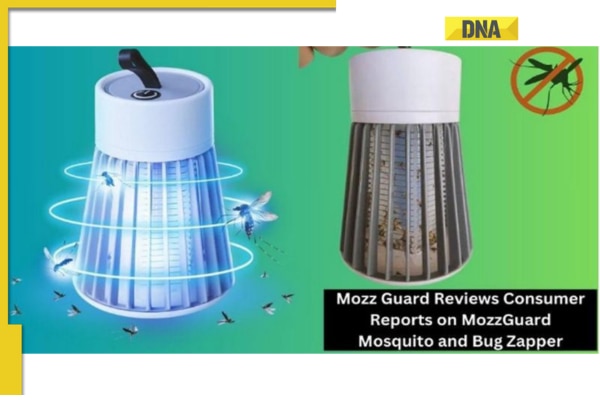 Mozz Guard Reviews: Effectively Kills Mosquitoes Instantly, This is ...