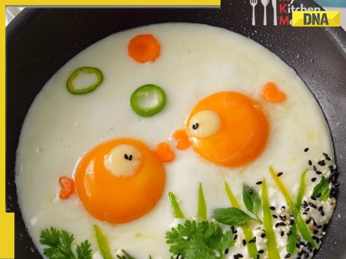 'Egg fry or fish fry': Viral video shows egg dish looking like goldfish ...