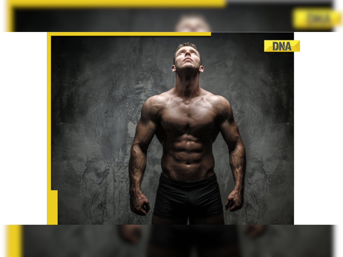 Best SARMs For Muscle Growth And Strength: Full Guide To Muscle ...