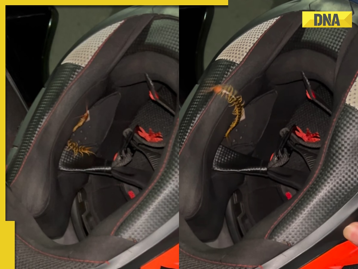 Viral video: Man finds giant centipede in bike helmet, internet is ...