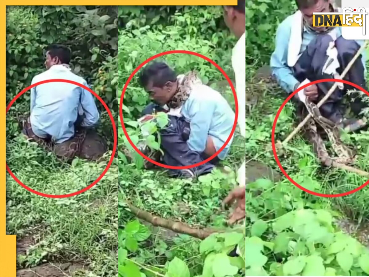 खुले में शौच कर रहा था व्यक्ति, 15 फ़ीट के अजगर ने जो किया देख कलेजा आ ...