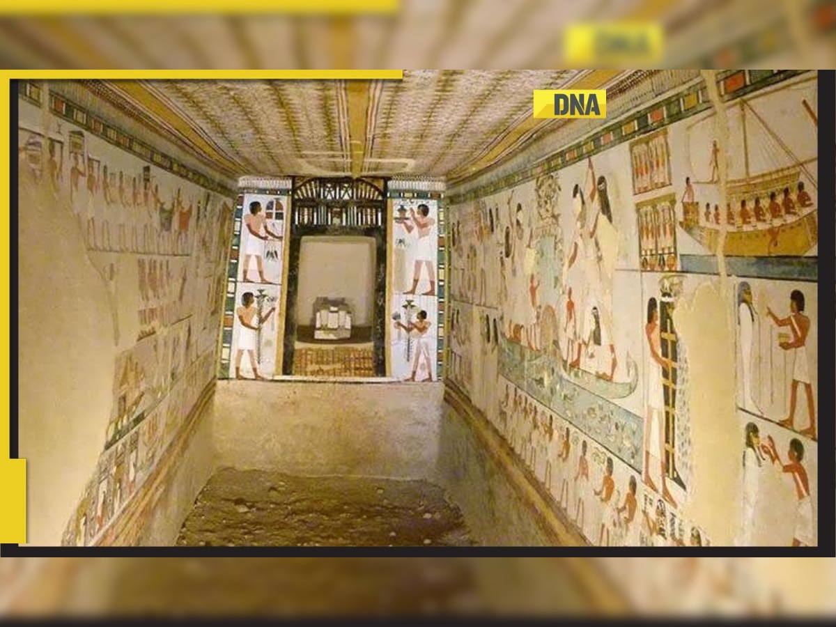 Discovery at Egypt’s Al-Bahnasa archeological site finds strange things ...