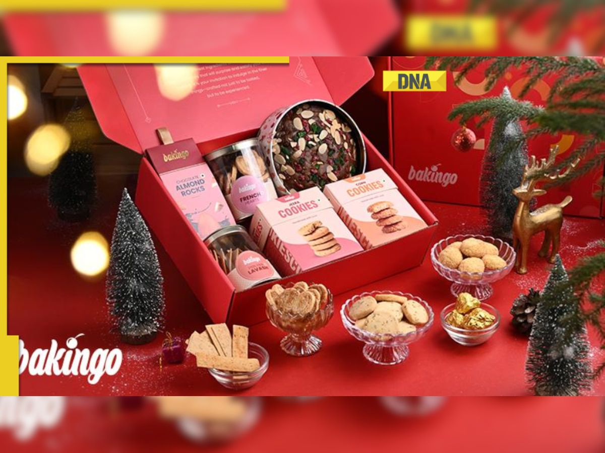 Bakingo Unveils ‘Magic in Every Bite’ With Its Exclusive Christmas ...