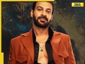 Bigg Boss 18 Grand Finale Highlights: Karan Veer Mehra beats Vivian ...