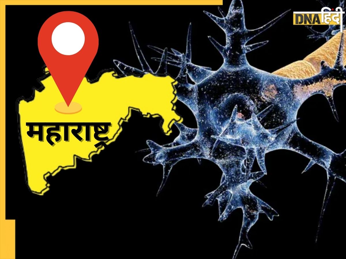 GBS Latest Updates: महाराष्ट्र में Guillain Barre Syndrome से 8 की मौत ...