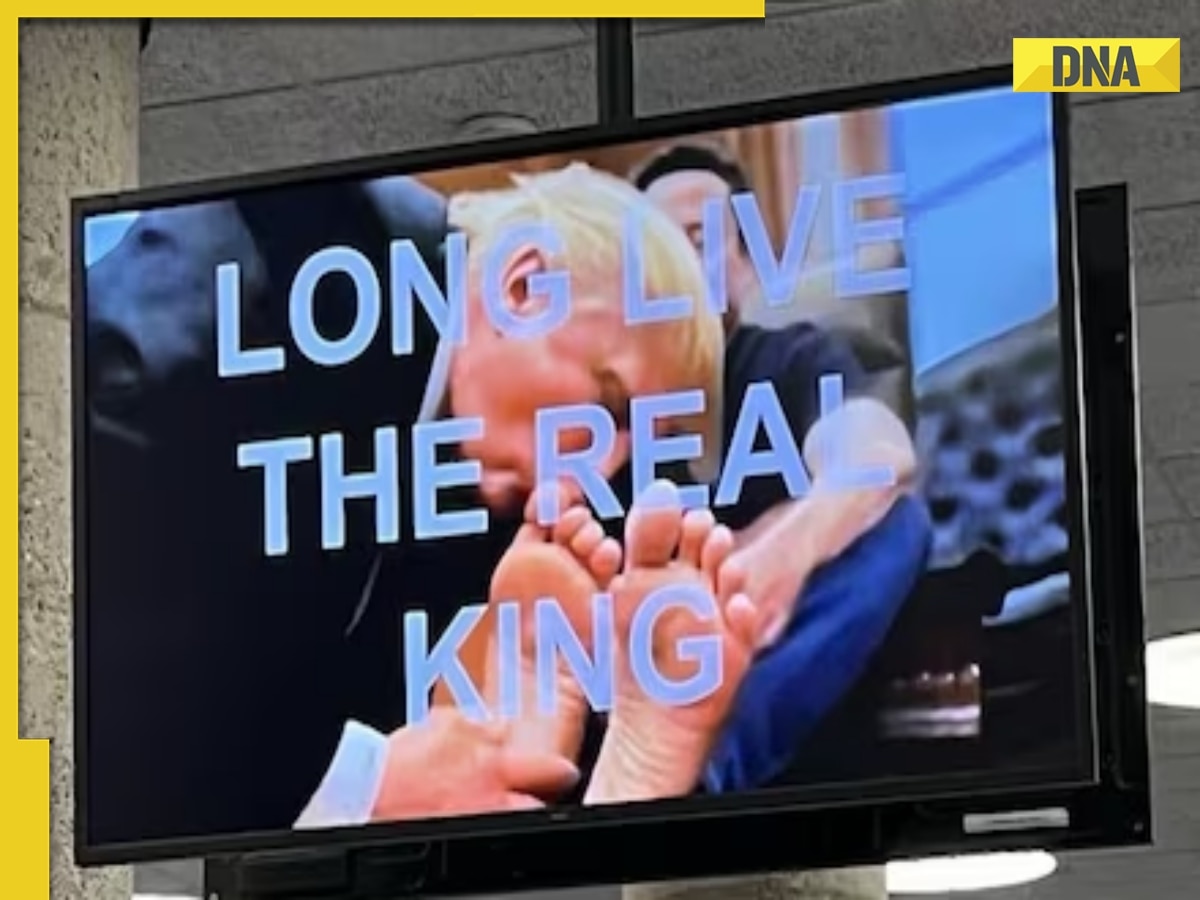 ‘The Real King’: Did Donald Trump kiss Elon Musk's feet? Here's the ...