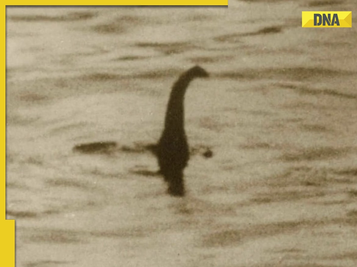 Loch Ness Monster 'seen' again in Scotland waters, first time in 2025