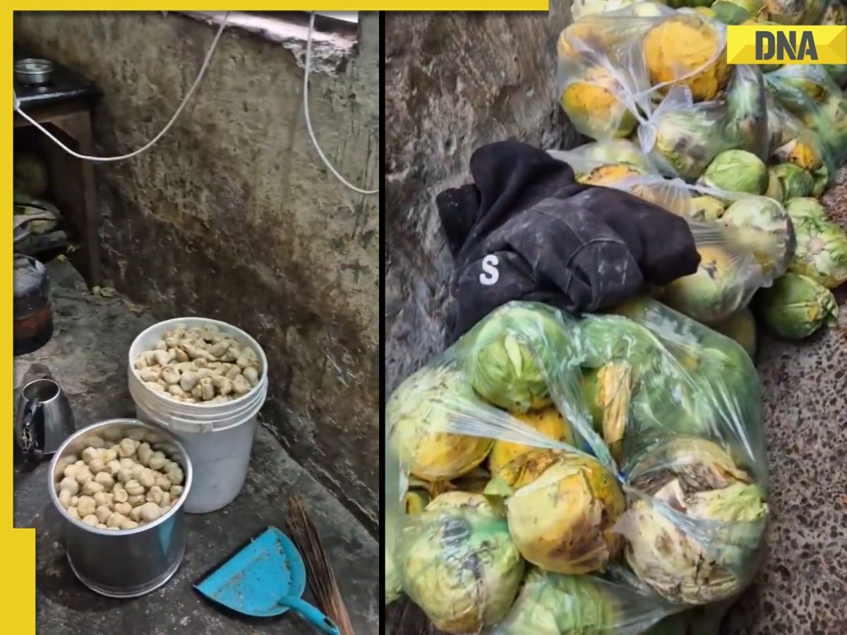 Severed dog head, fungus infested veggies found in raid on momo factory ...