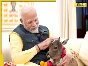 PM Modi's cheeky jibe at animal lovers: 'Most of them do not consider...'