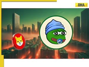 Shiba Inu Price Prediction for 2025: Why Little Pepe LILPEPE is Best Meme Coin to invest now?