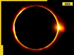 Bhojpuri x video jabardasti