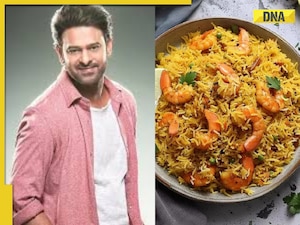The Raja Saab actor Prabhas shares his favourite rice dish, simple ...