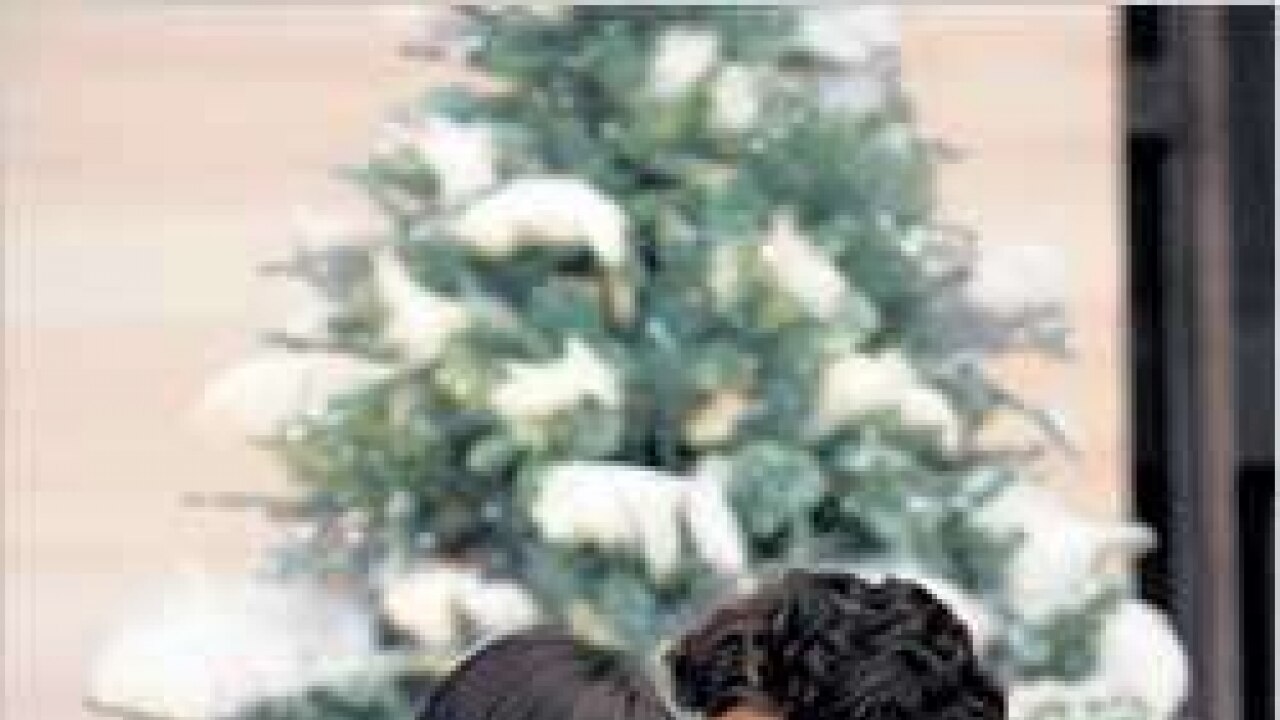 ‘I want mistletoe placed everywhere’