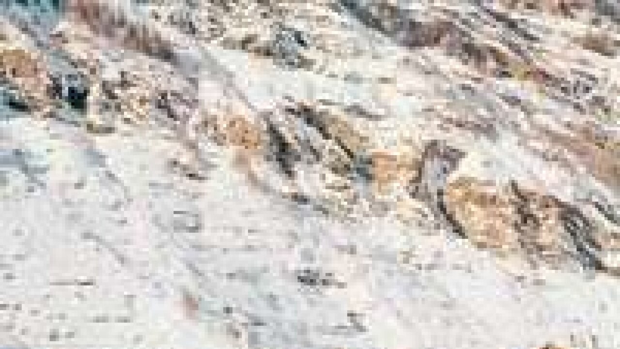 Ready for some Alpine fun?