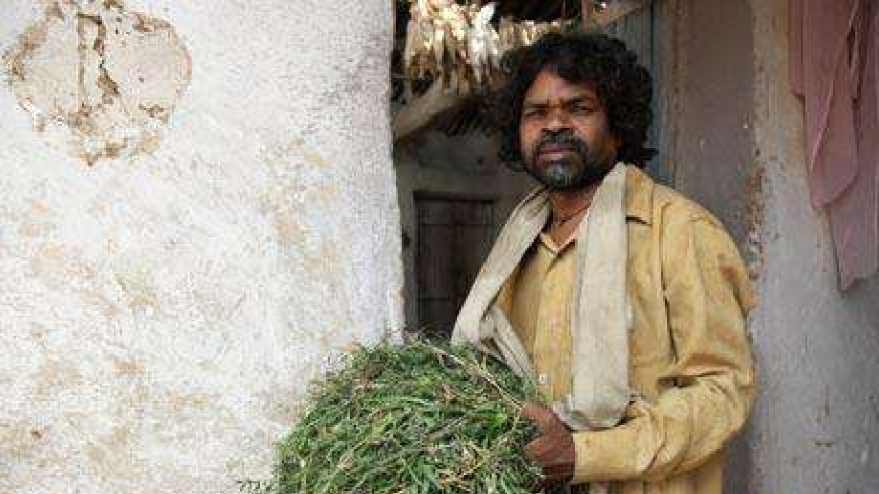 Review: 'Peepli (Live)' is a missed opportunity