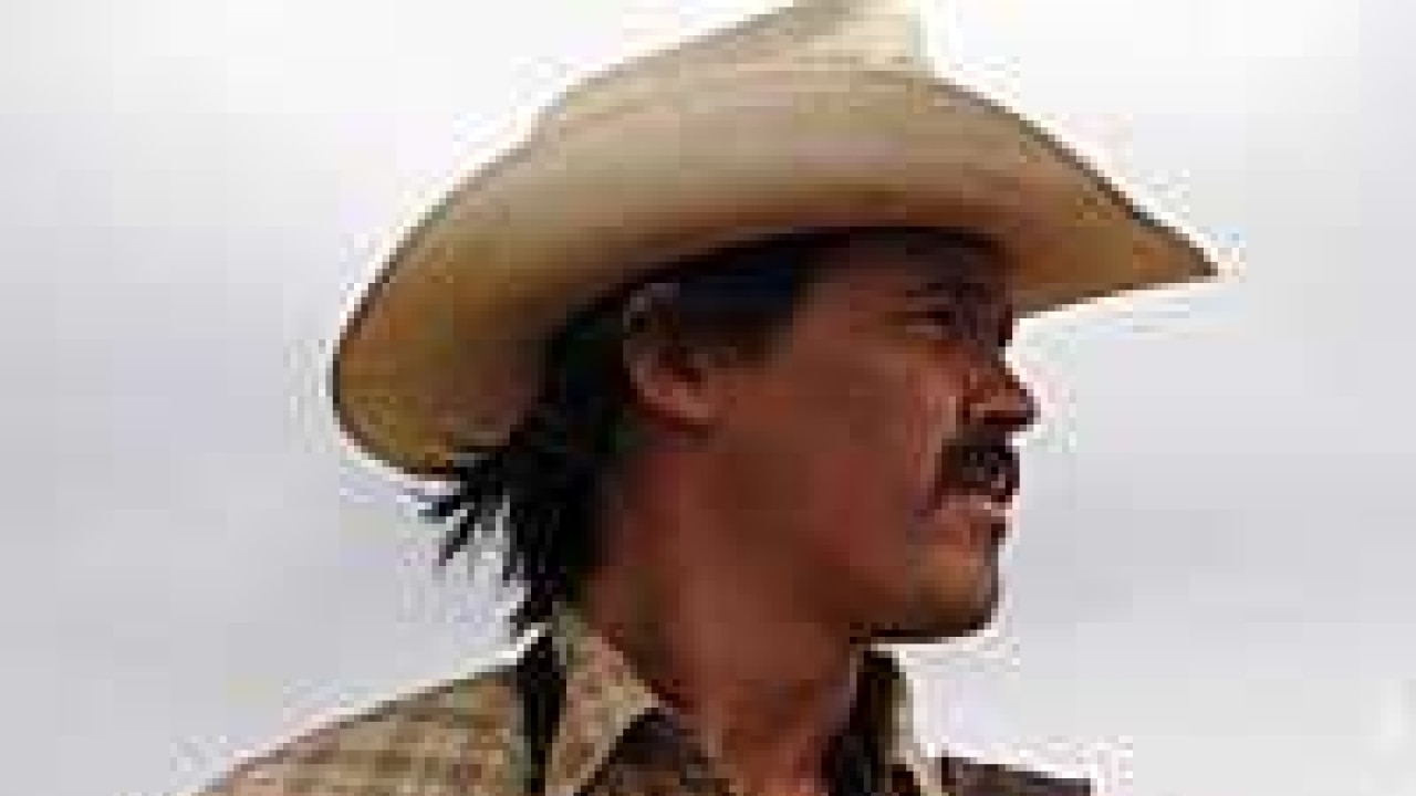 Johan Brolin Tattoos