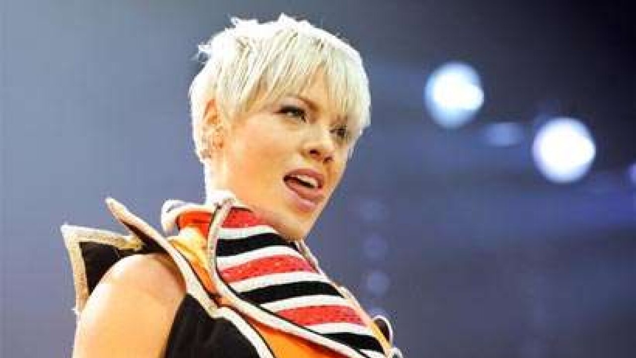 Pink to get human rights honour