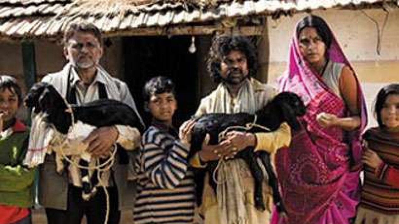 I will be happy to see 'Peepli Live' win Oscar: Anusha Rizvi