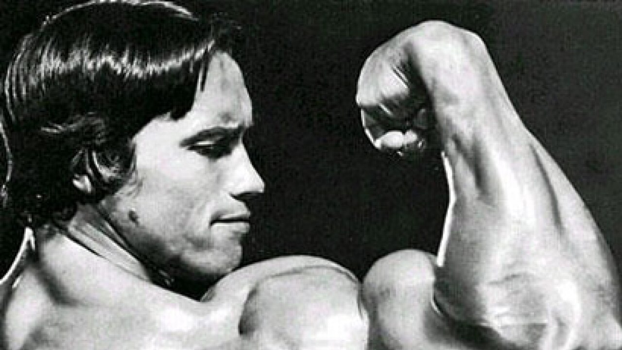 Arnold Schwarzeneggers Popularity Plummets Following Maid Sex Scandal