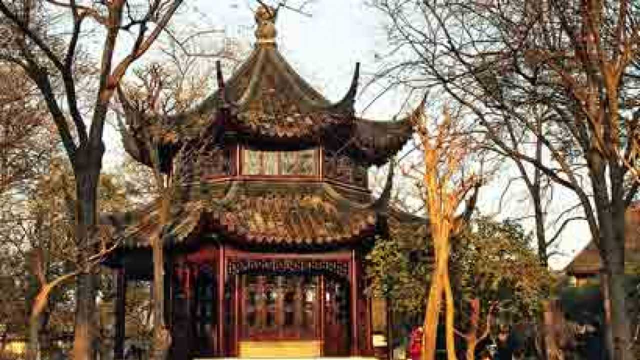 The Humble Administrator’s Garden: A (not-so) humble garden