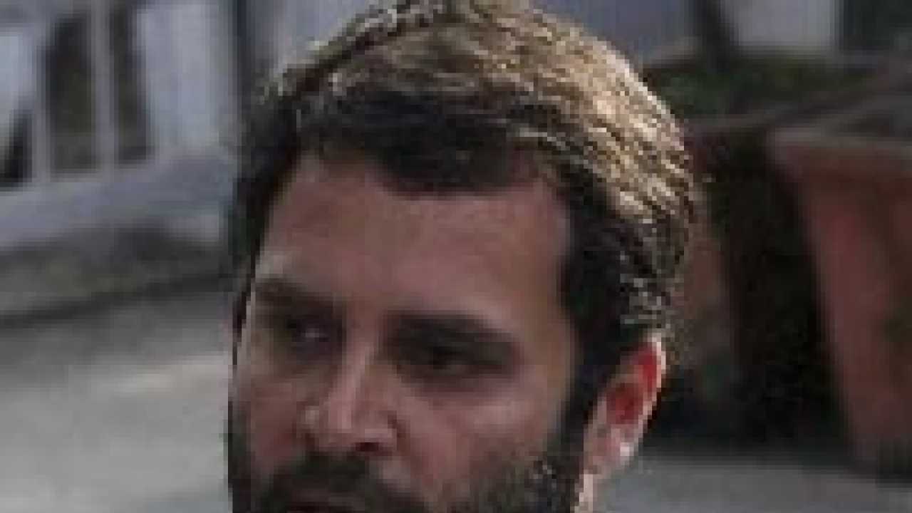 No place for rubber stamp netas in Congress: Rahul Gandhi