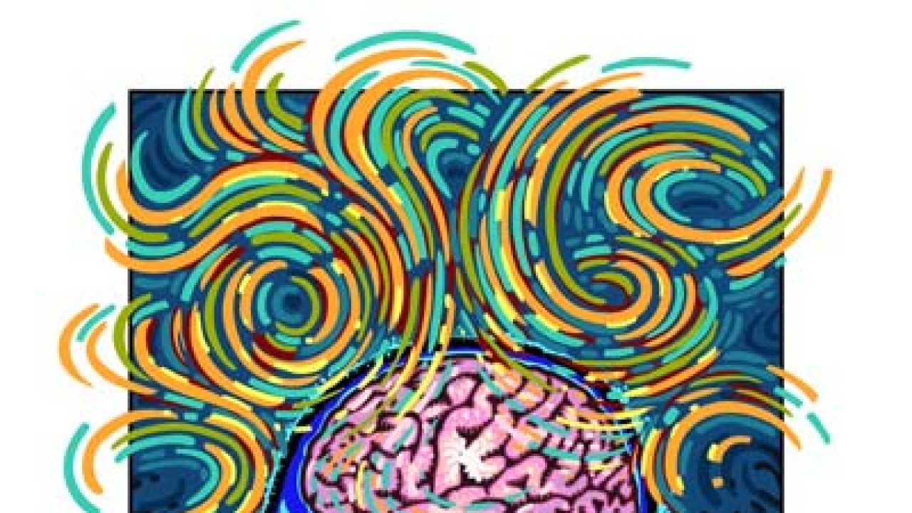 Brain uses early life stress experience to prepare for later challenges
