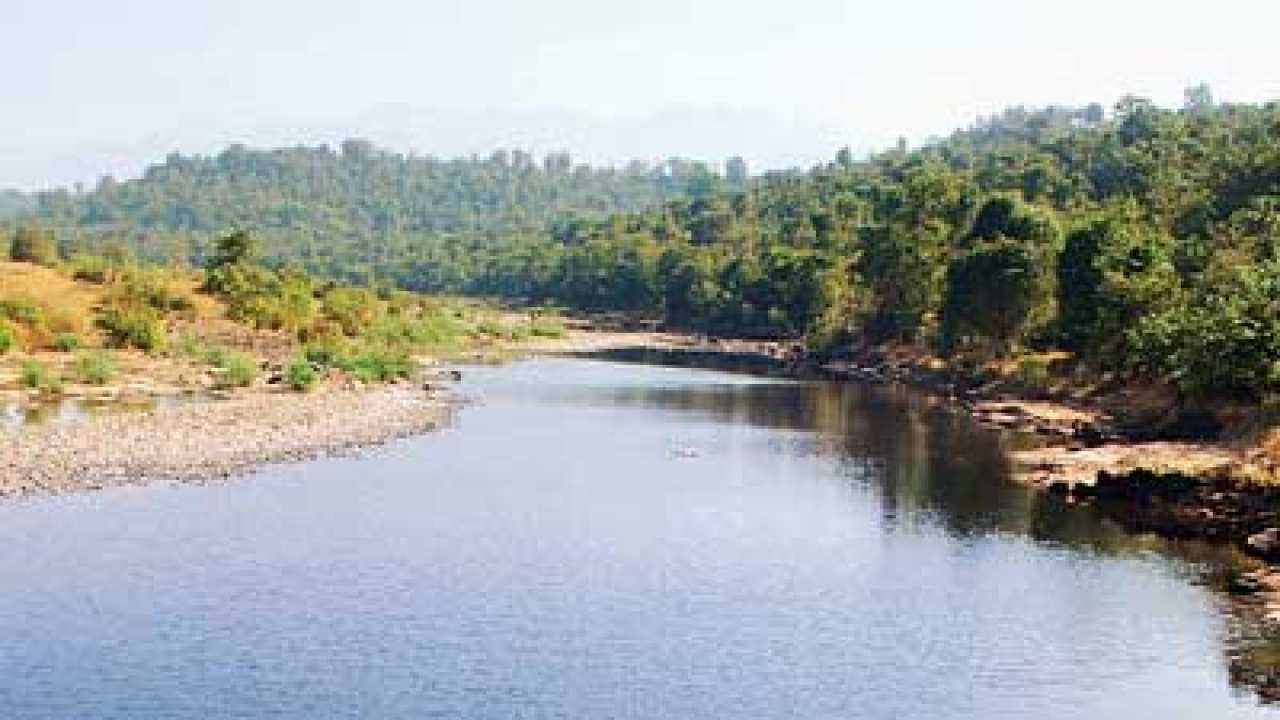 Forest panel clearance to Kalu dam raises greens' hackles