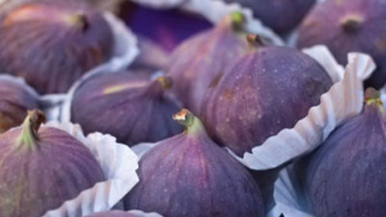 Why you should give a fig about figs