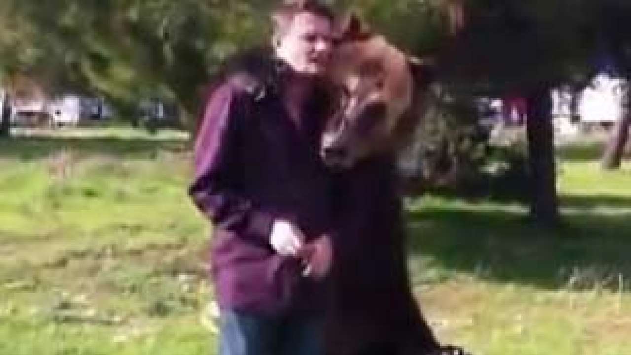 Viral video: This bear does amazing tricks