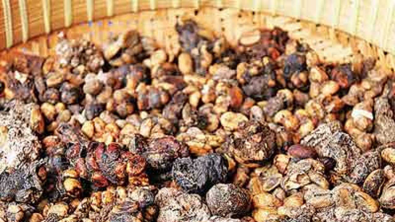 The growing club of poo brew