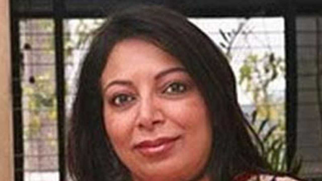 Niira Radia tapes: Supreme Court conducts two-hour-long in-camera ...