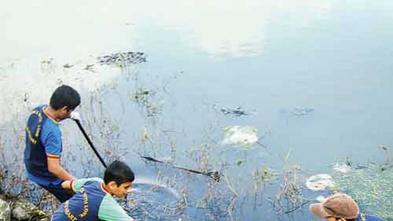 Clean-up drive at Vashi Mini Seashore