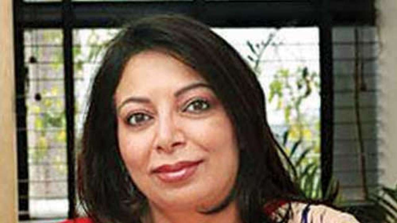 CBI registers four PEs in Niira Radia tapes controversy
