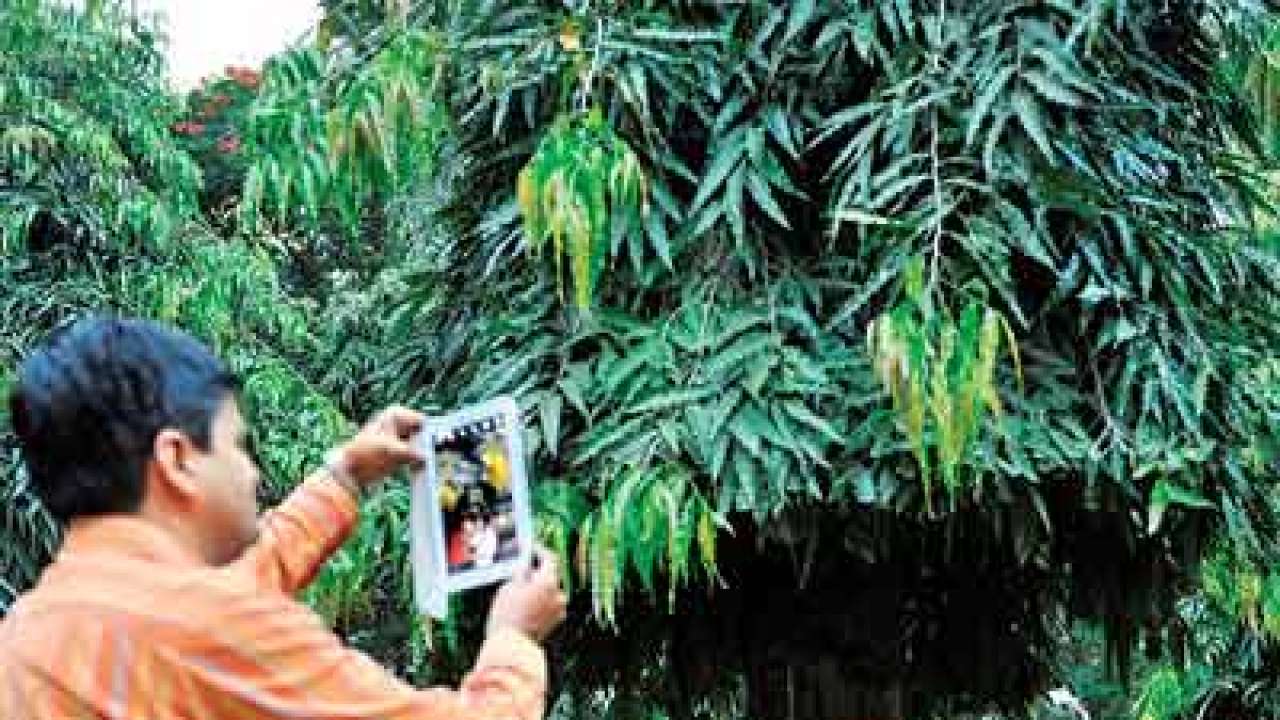 This app makes tree census a minute's job!