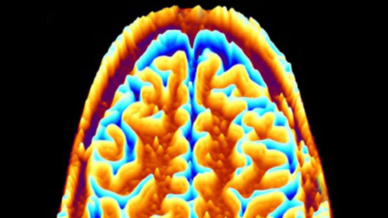 Brain uses both sides for a perfect speech!