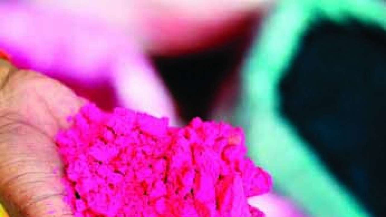The mantra of 'Dry holi' is becoming popular in Pune