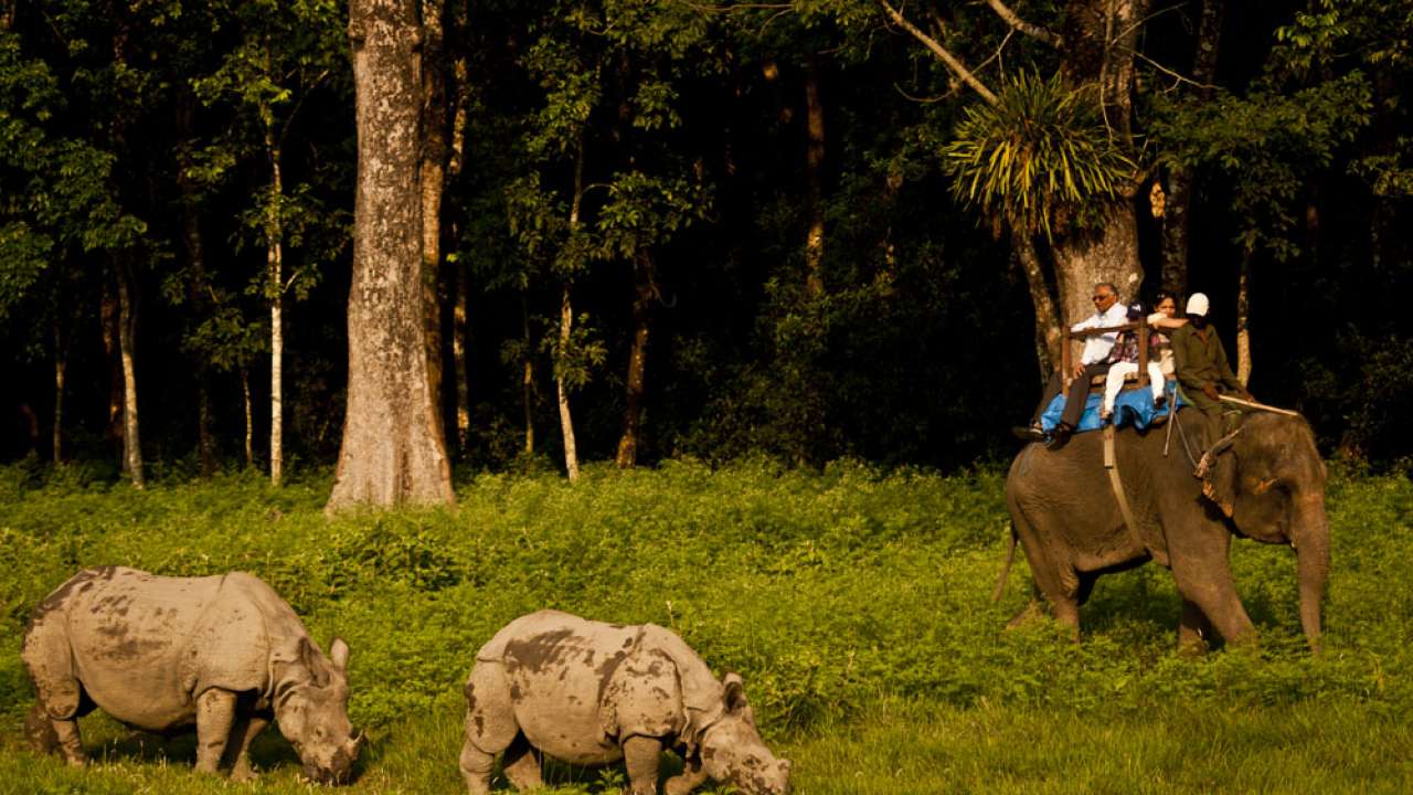 5 Things you can't miss in Chitwan