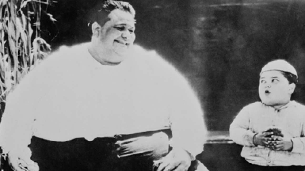 Obese dads increase risk of autism in offspring