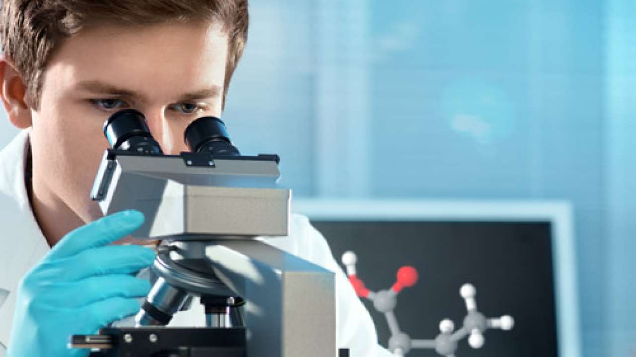 Gene linked to pediatric kidney cancer could help in kidney regeneration